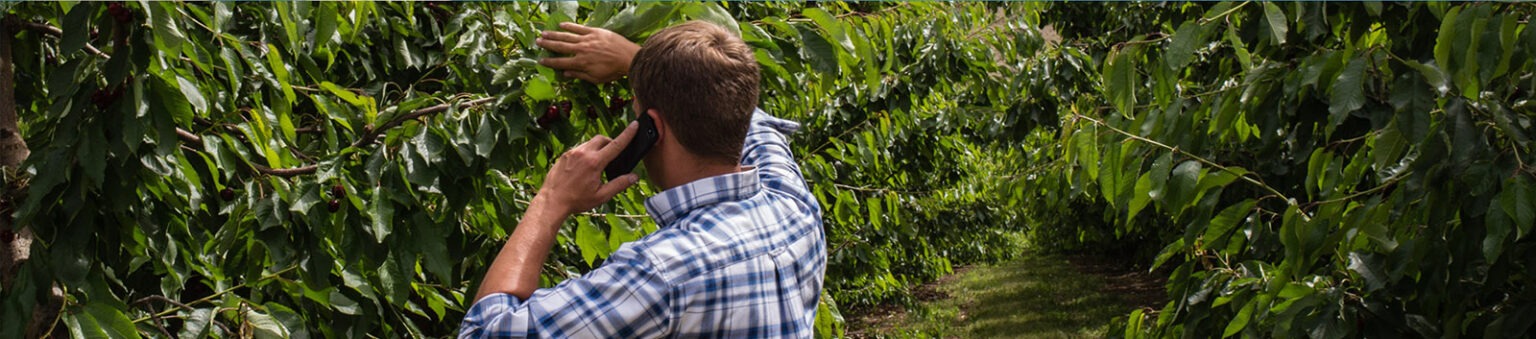 Board Officials - WA State Fruit Commission