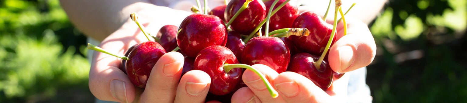 Employment - WA State Fruit Commission